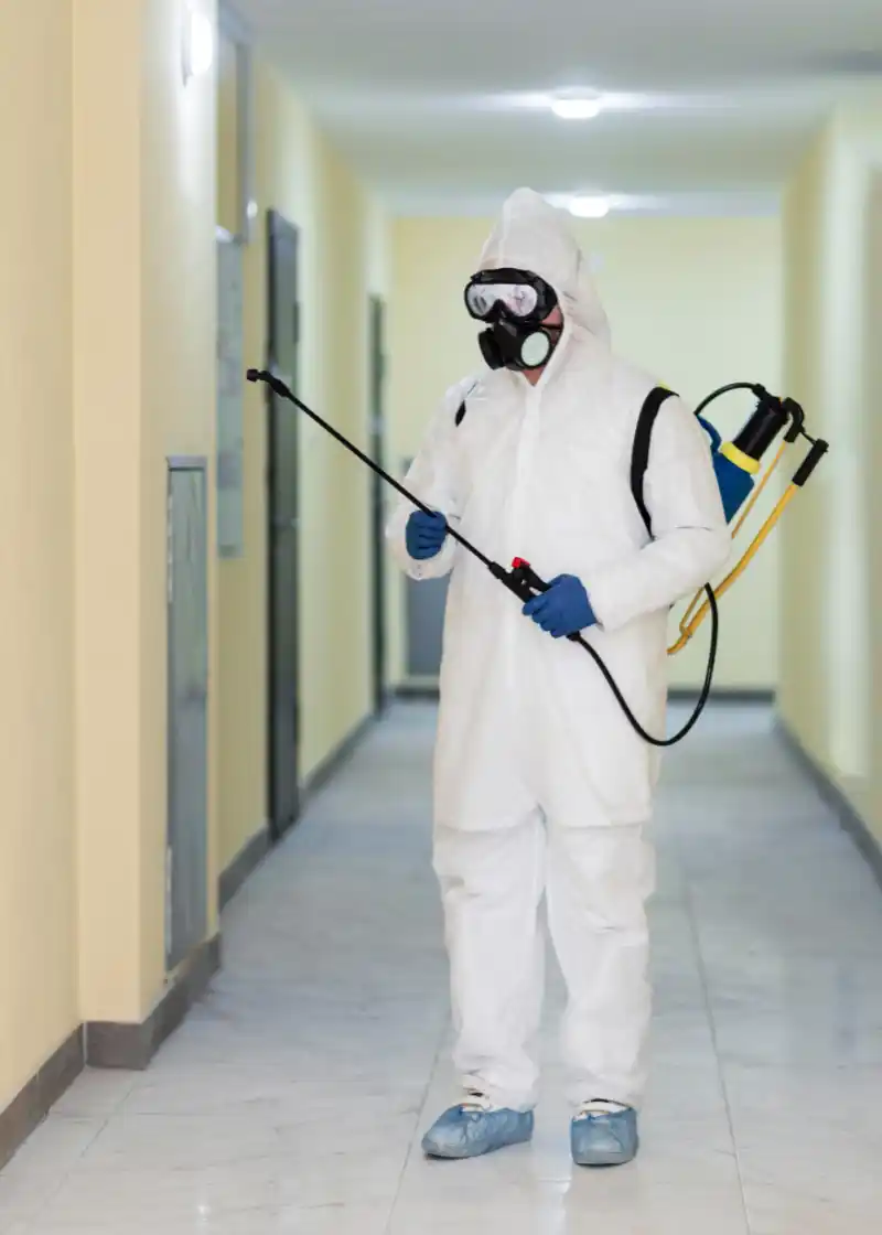 Same Day Pest Control Glen Iris - 0340507221 - Expert Pest Removal Services